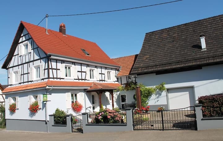 Gîte Cosy Idéal Pour Découvrir Lalsace - Wissembourg