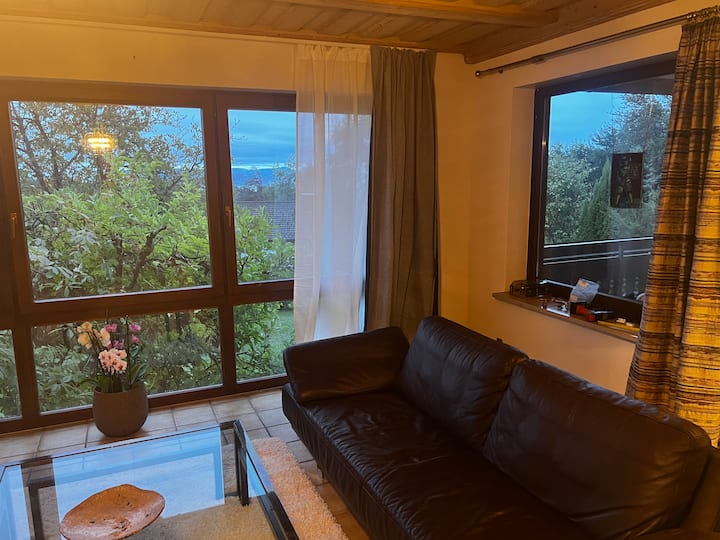 Alpenpanorama Villa • Work & Explore D/ch/alsace - Schopfheim