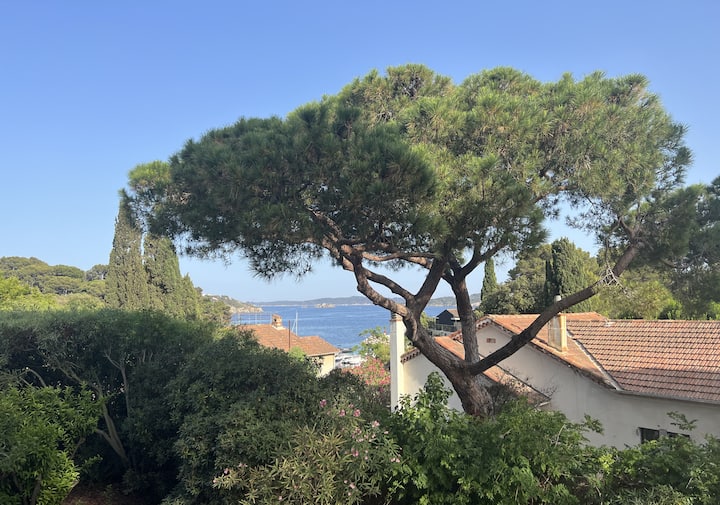 Très Grande Villa Presqu'île De Giens Port Du Niel - Presqu'île de Giens