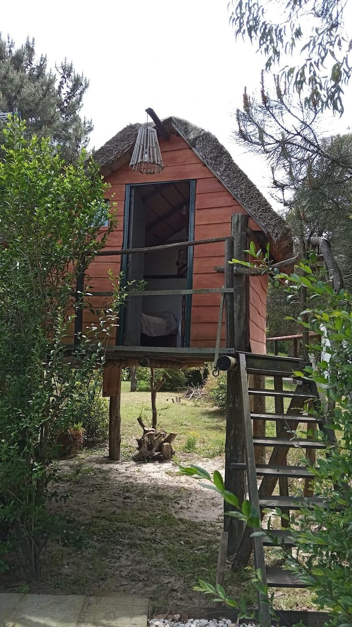 "La Mora", Agradable Casa Ubicada En La Floresta. - La Floresta