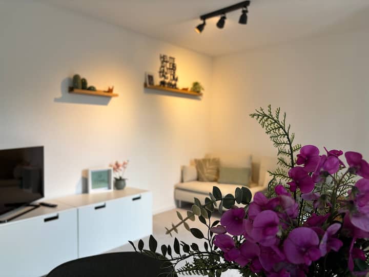 Heimatstudio Baiersbronn - Baiersbronn