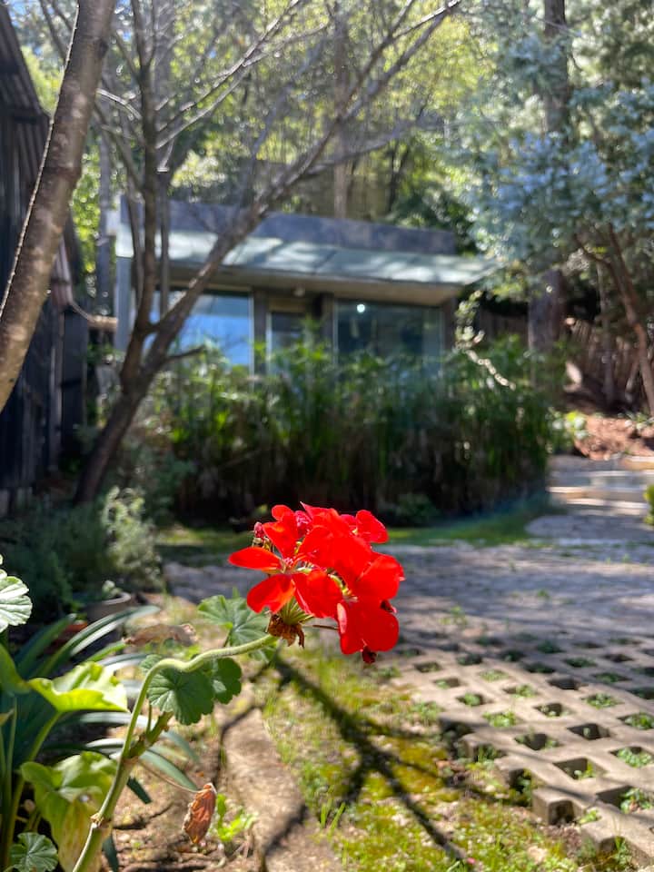 Loft 37 - San Cristóbal de las Casas