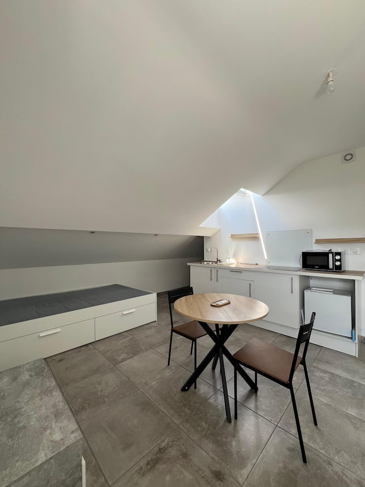 Studio Moderne Et Lumineux, Idéal Pour Séjour Cosy - Meyzieu