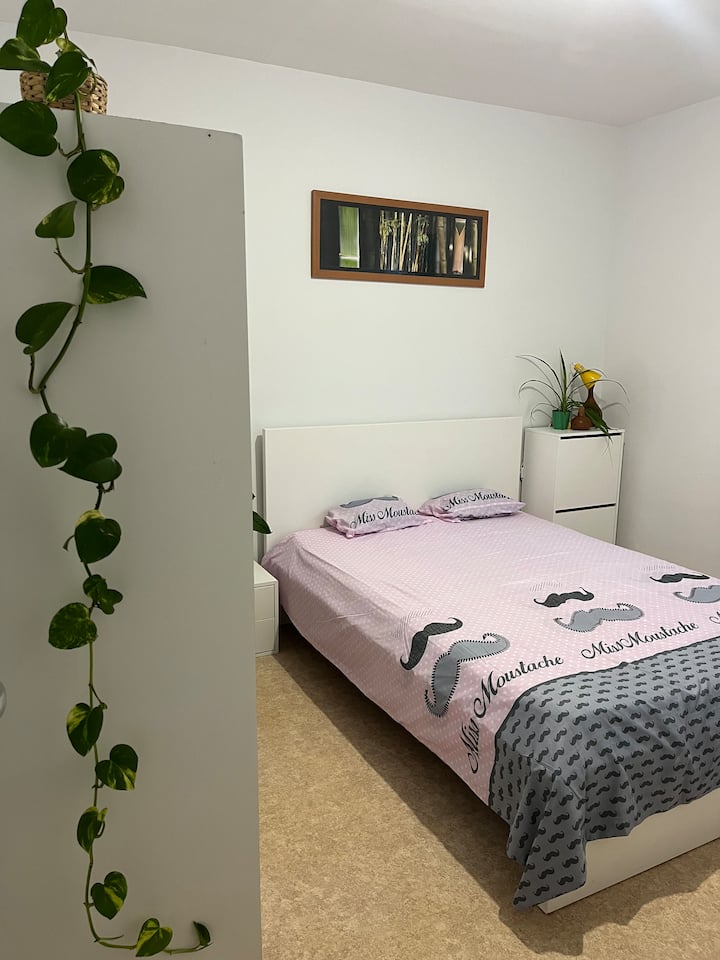 Magnifique Chambre Dans Un Coin Tranquille - Montargis