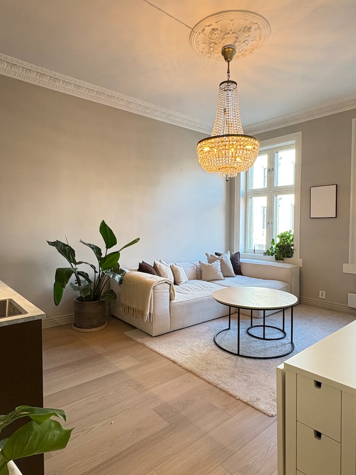 2-roms Leilighet Med Balkong På Grunerløkka - Oslo