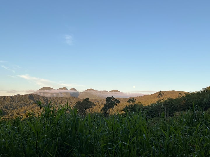Le Vieux Hangar (à Fleurs) - Martinique