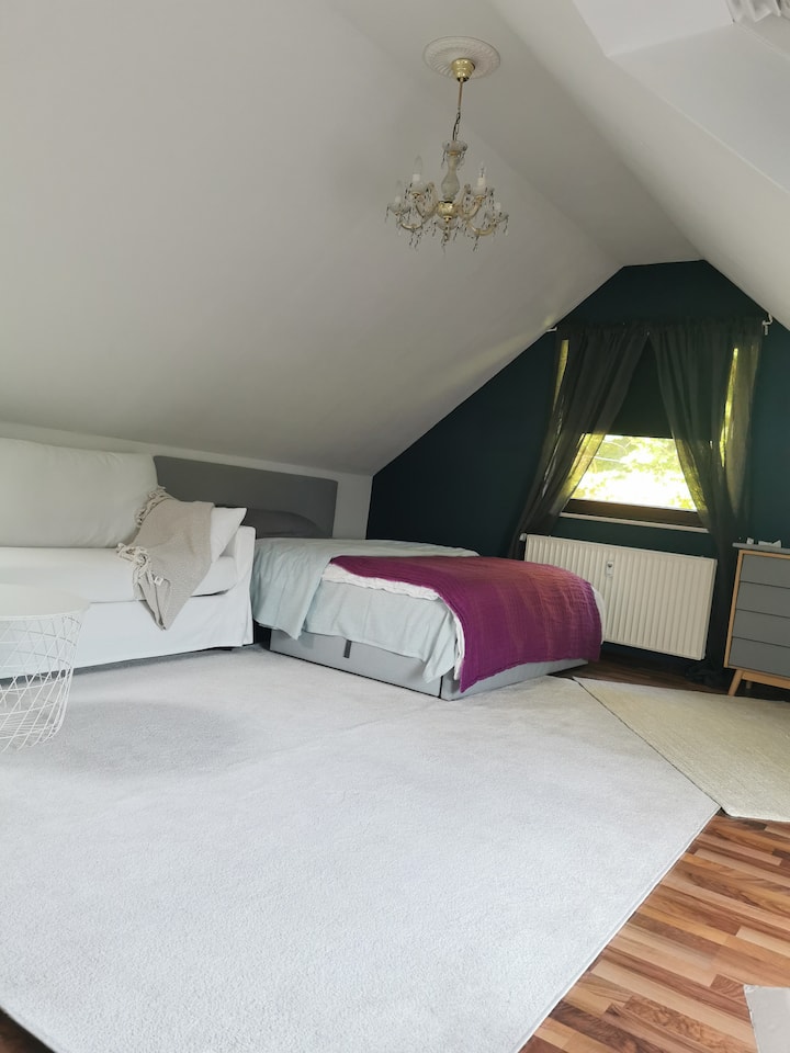 Großes Zimmer Mit Eigener Toilette Bonn Friesdorf - Bonn