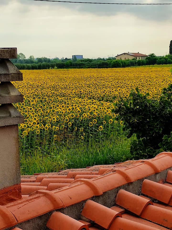 Villa Rustica A Pochi Passi Dalle Mete Turistiche - Pisa