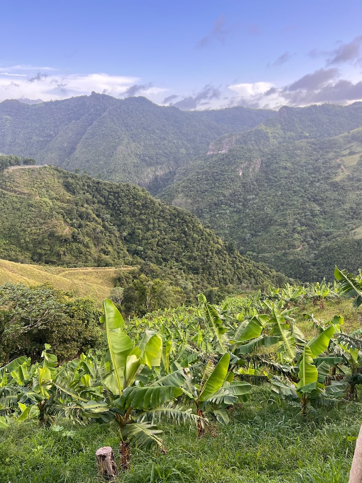 Mountains Views - Puerto Rico