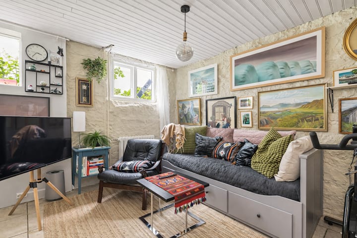 Historic 1906 Flat • Heart Of Reykjavík - Reykjavík