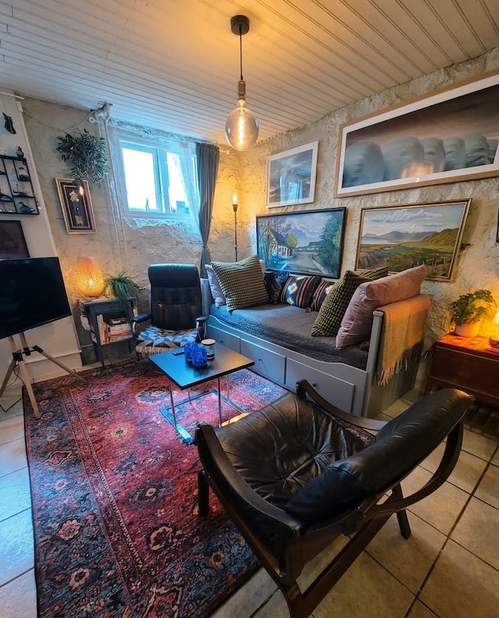 Historic 1906 Flat • Heart Of Reykjavík - Reykjavik