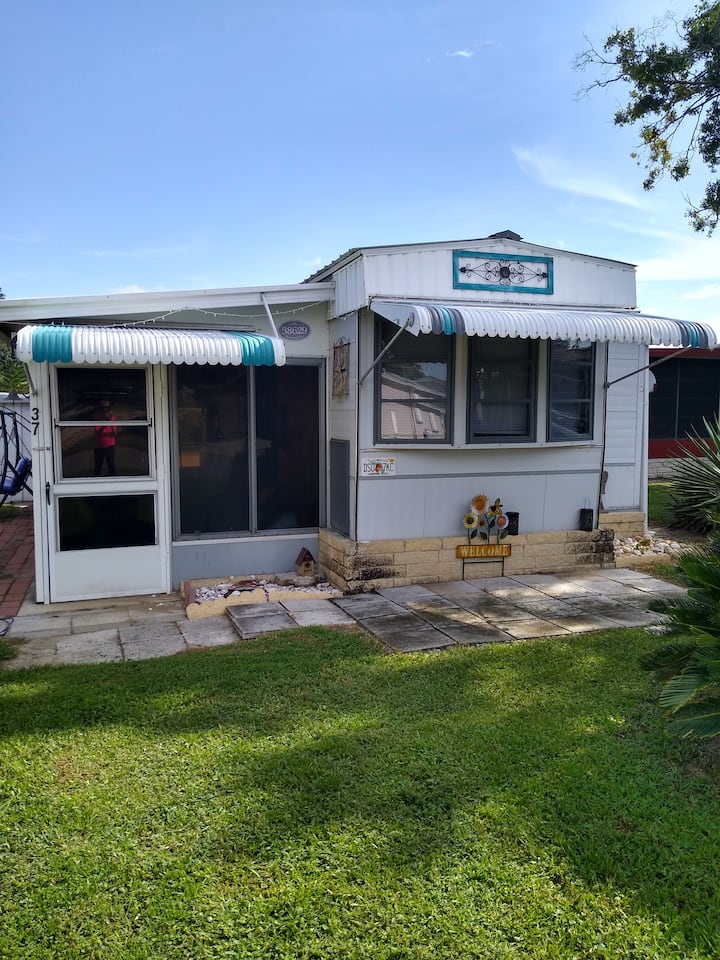 Desert Vibes - Zephyrhills, FL