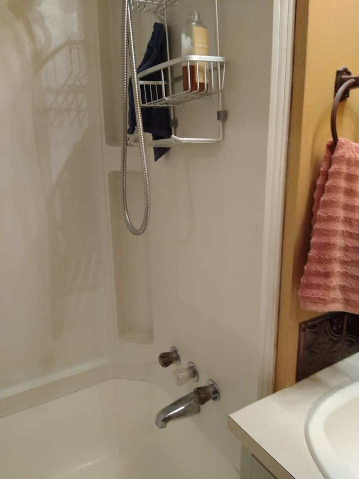 Desert Vibes - Zephyrhills, FL