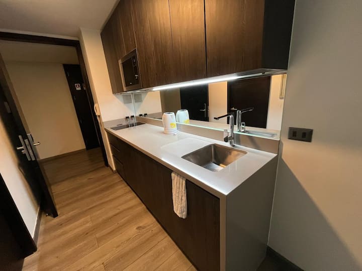 Hermoso Departamento Barrio Yungay - Santiago