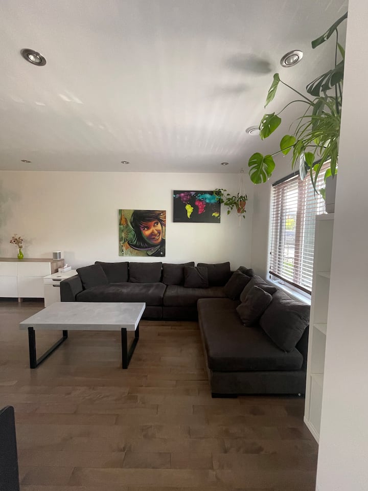 Maison 3 éTages, Grande Fenestration - Levis