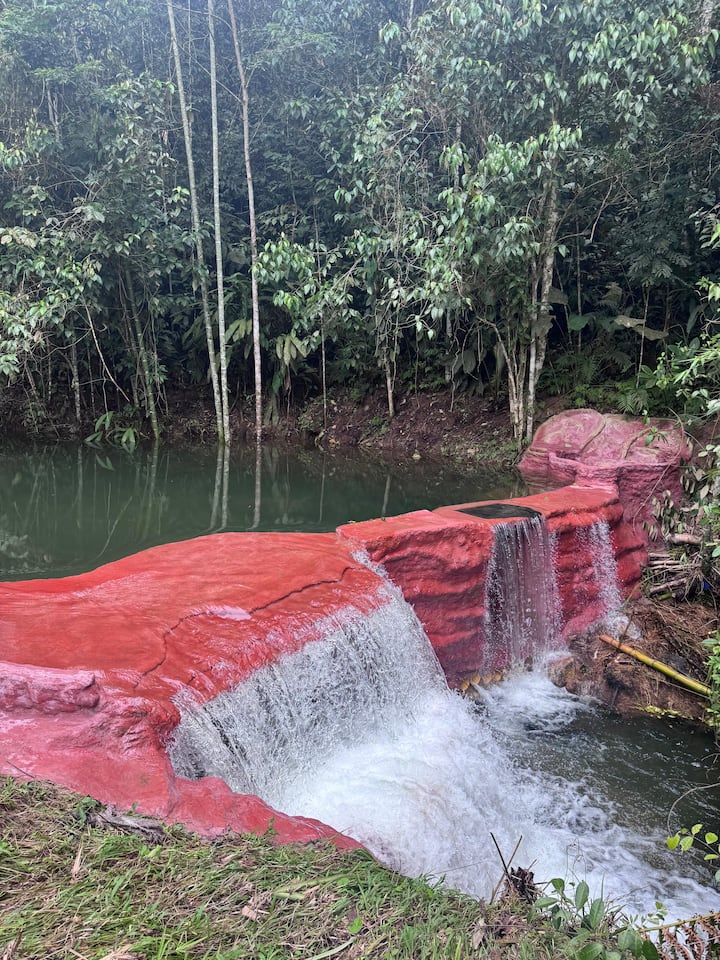 Hotel Selva Cristal - San Carlos, Antioquia, Colombia