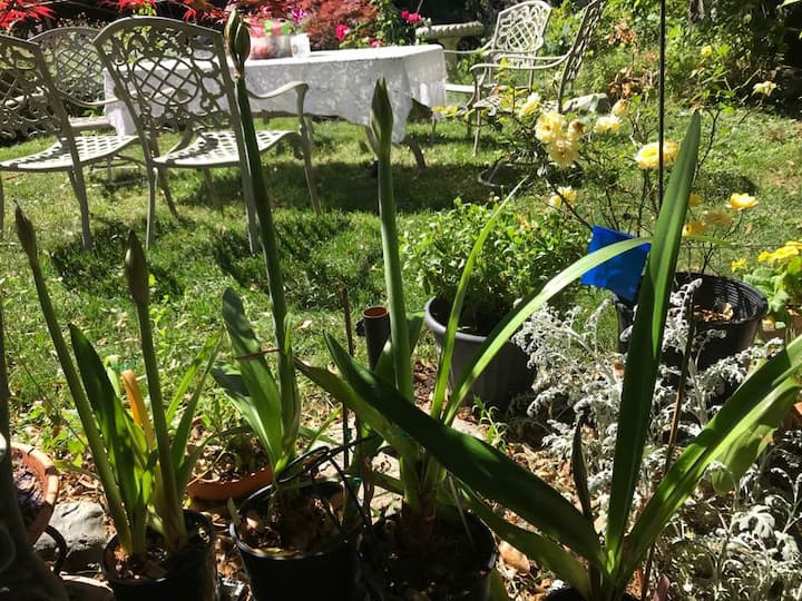 West Side Charmer 2.0. - Ukiah, CA