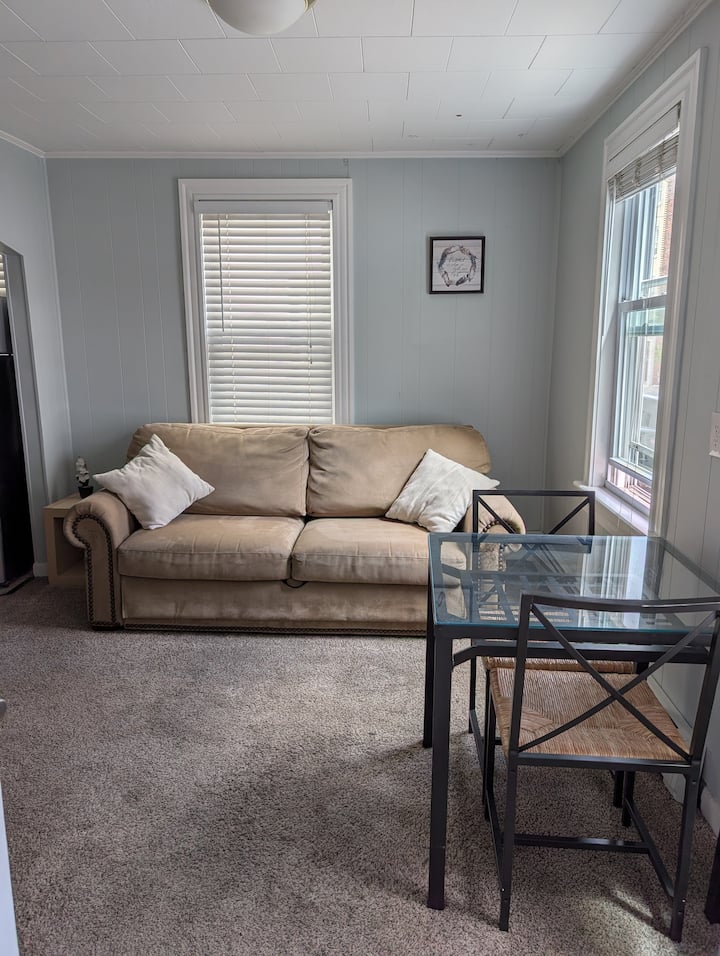 Cute 1 Bedroom In East Boston, Close To Airport - New England Aquarium, Boston