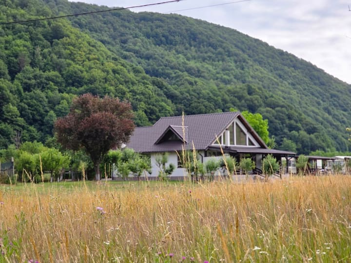 Casă Cu Lac De Pescuit-ciucea185, 
Casa Din Livadă - Ciucea