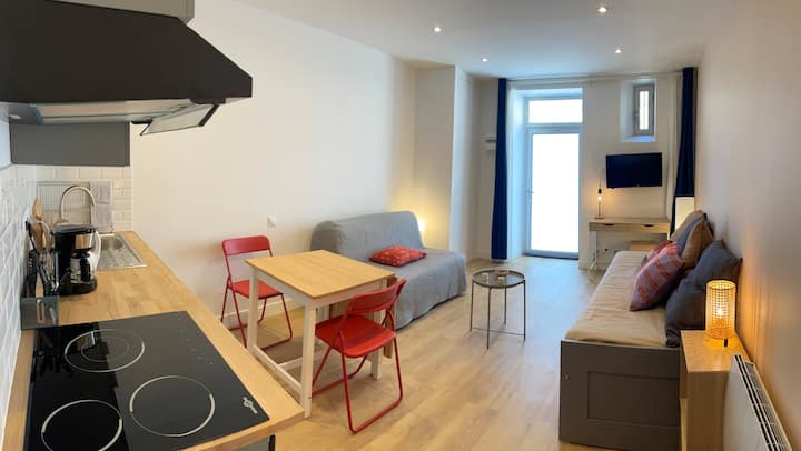 Joli Studio 24 M2 Bordeaux Centre - Bordeaux