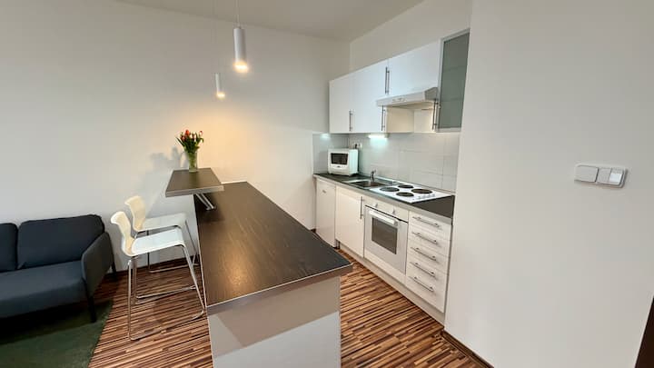Spacious Studio In City Center | Obchodná - Bratislava