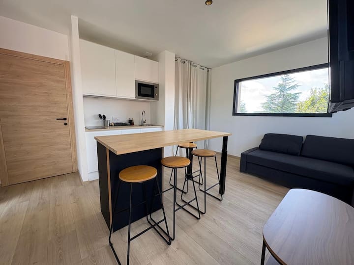 Studio Moderne Avec Terrasse - Écully