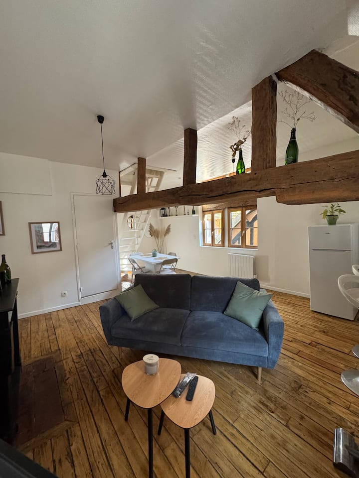 Appartement Unique Au Cœur Historique De Troyes - Troyes