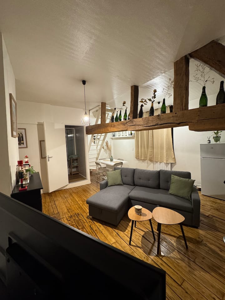 Appartement Unique Au Cœur Historique De Troyes - Troyes