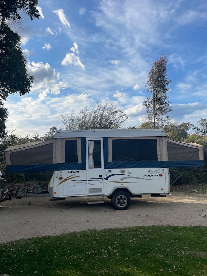 Swanny - Mallacoota