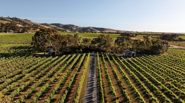 Seabrook Vineyard Eco Retreat - Mataro - Tanunda