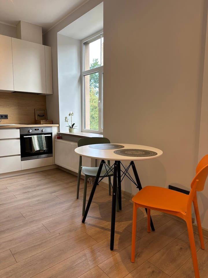 Stabu Street Apartment (C) - Riga