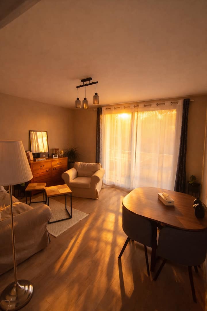 Grand T2 Lumineux 60 M² • Balcon Sud • Parking - Brest