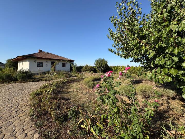 Casa Brandusa-poiana Florilor - Snagov