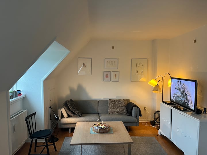 Hyggelig Lejlighed I Centrum Af ÅRhus - Aarhus