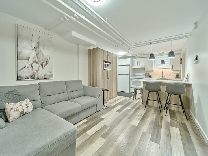La Planque, 1 Chambre, Sous-sol - Saguenay
