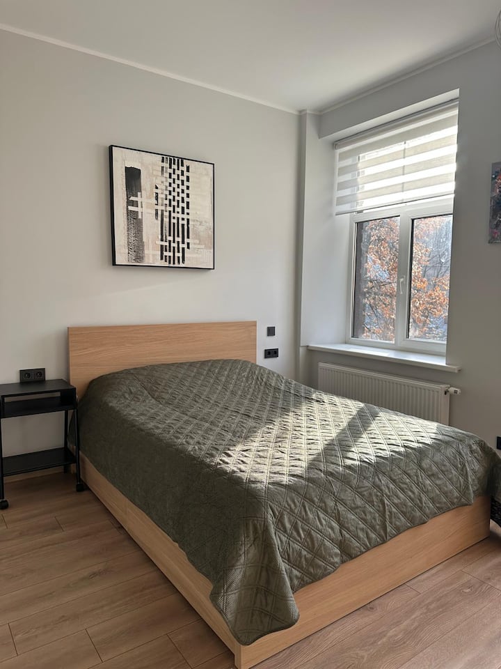 Stabu Street Apartment (A) - Riga