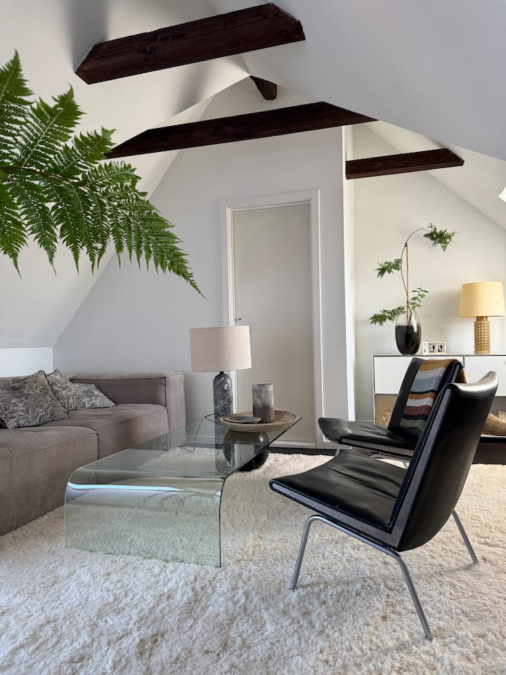 Stylish Copenhagen Apartment - Copenhagen