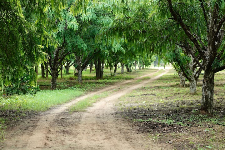 Farmstay In Aravalli | 2.5 Hours From Delhi Ncr - Rajasthan