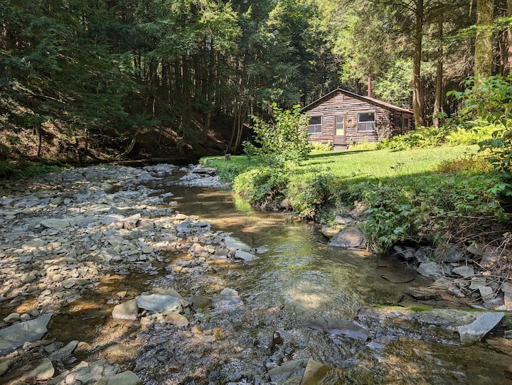 Forest Creek Cabin Off Grid Paradise - Morgan Hill State Forest, Cortland