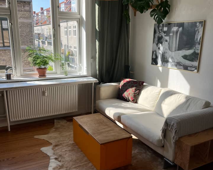 Charmerende Københavner Lejlighed Med Tagterasse - Kopenhagen