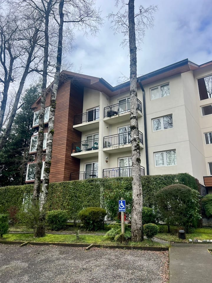 Apartamento En Pucón - Los Ríos