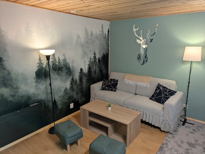 Logement Cosy à 5 Minutes Du Centre-ville - Ivalo