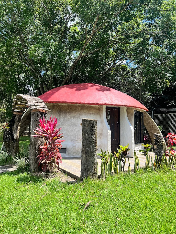 Glamping Fungi 420,hab+baño+piscina+kayak+pesca - Granada