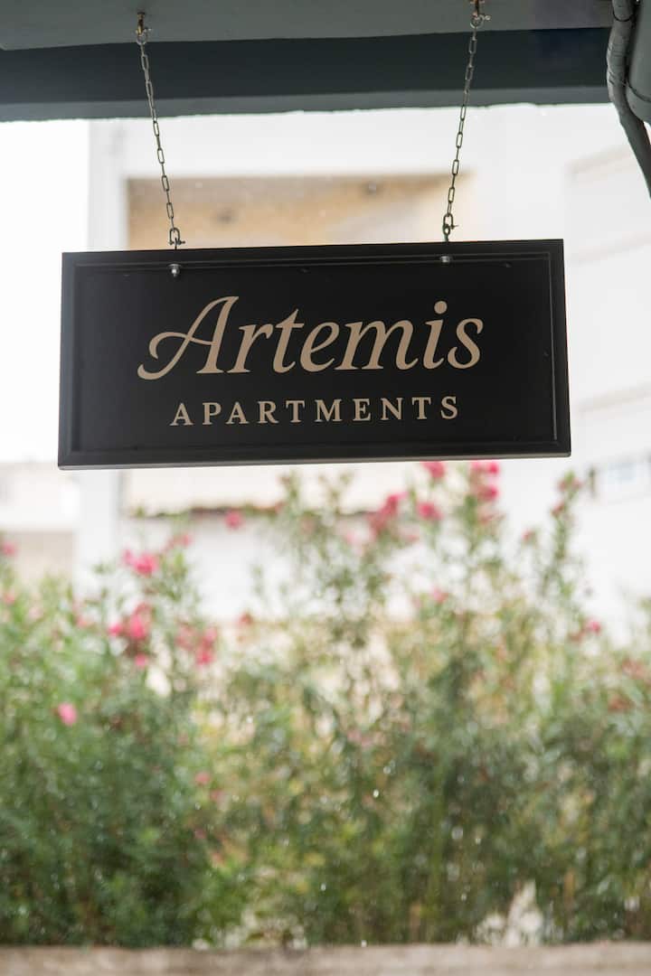 Artemis Apartments 2 - Chania