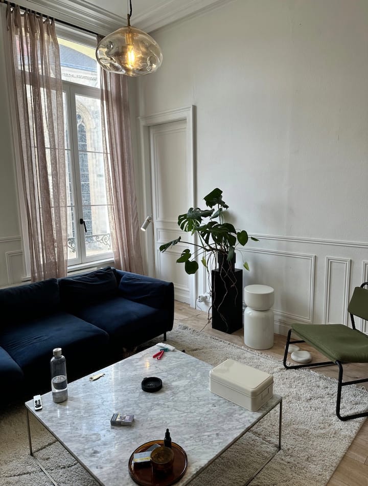 Bienvenue Dans Notre Cocon Au Cœur De Lille - Lille