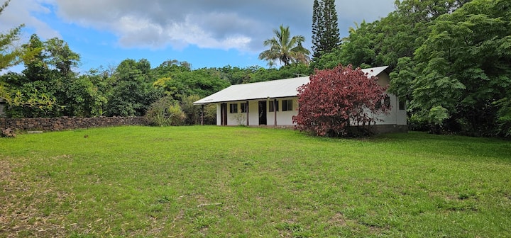 Hare Kivi-casa Completa O Pieza Cocina Compartida - Isla de Pascua