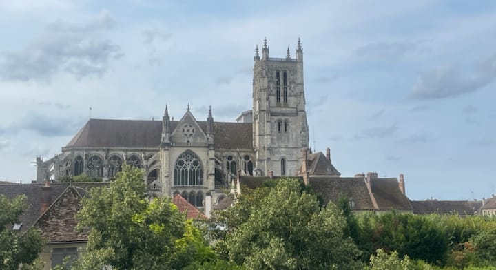 Meaux 3 Studio Centre Proche Disney Vue Cathédrale - Meaux