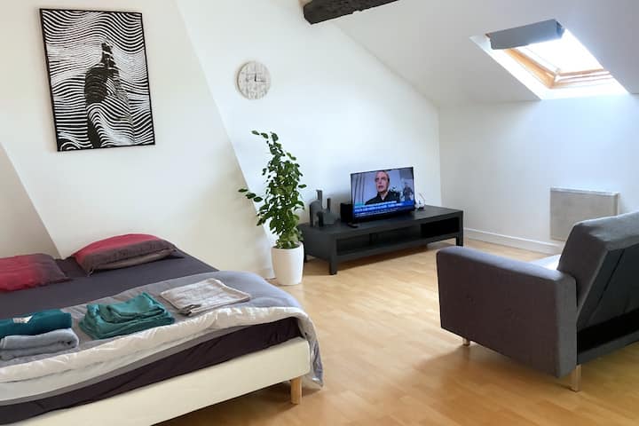 Appartement Studio Avec Vue Unique Sur Cathédrale - Esbly