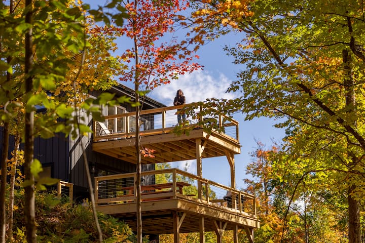 Lyon Mountain Lodge - Carousel, Redford