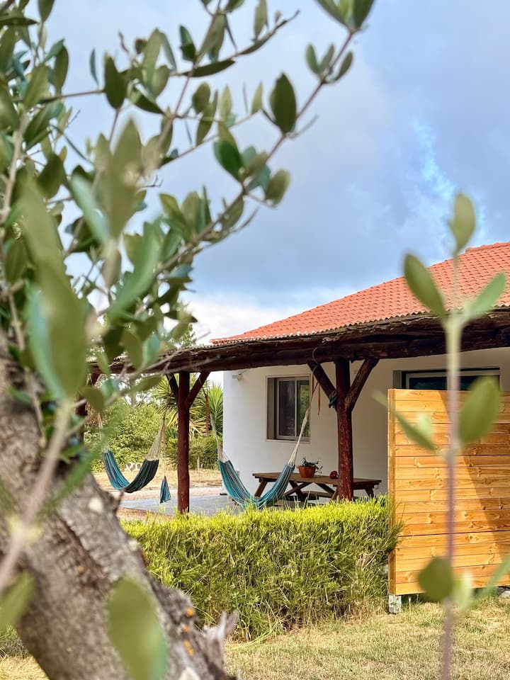 Grand Loft 02 - Odeceixe